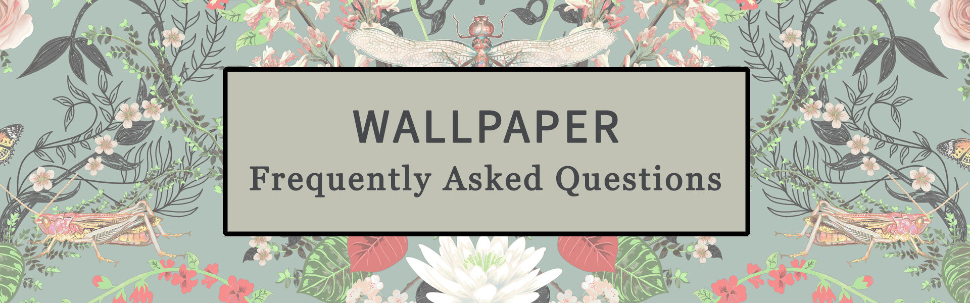 Wallpaper FAQs by Designer, Becca Who